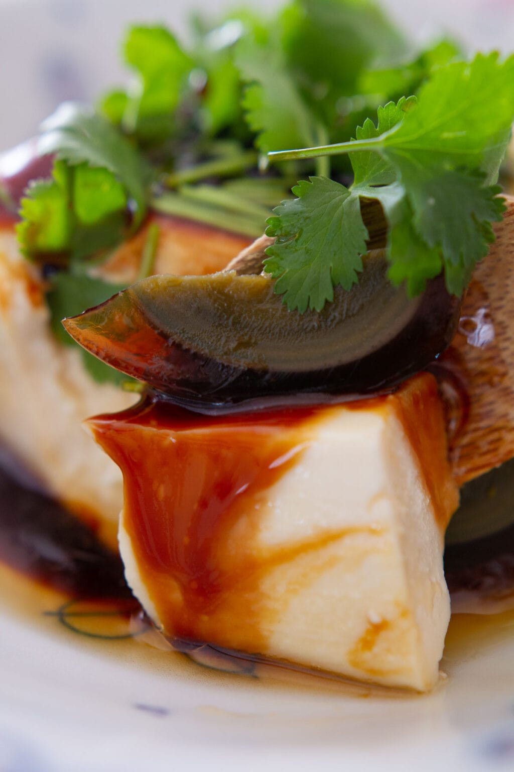 18 easy silken tofu recipes (soft tofu) – chef curated