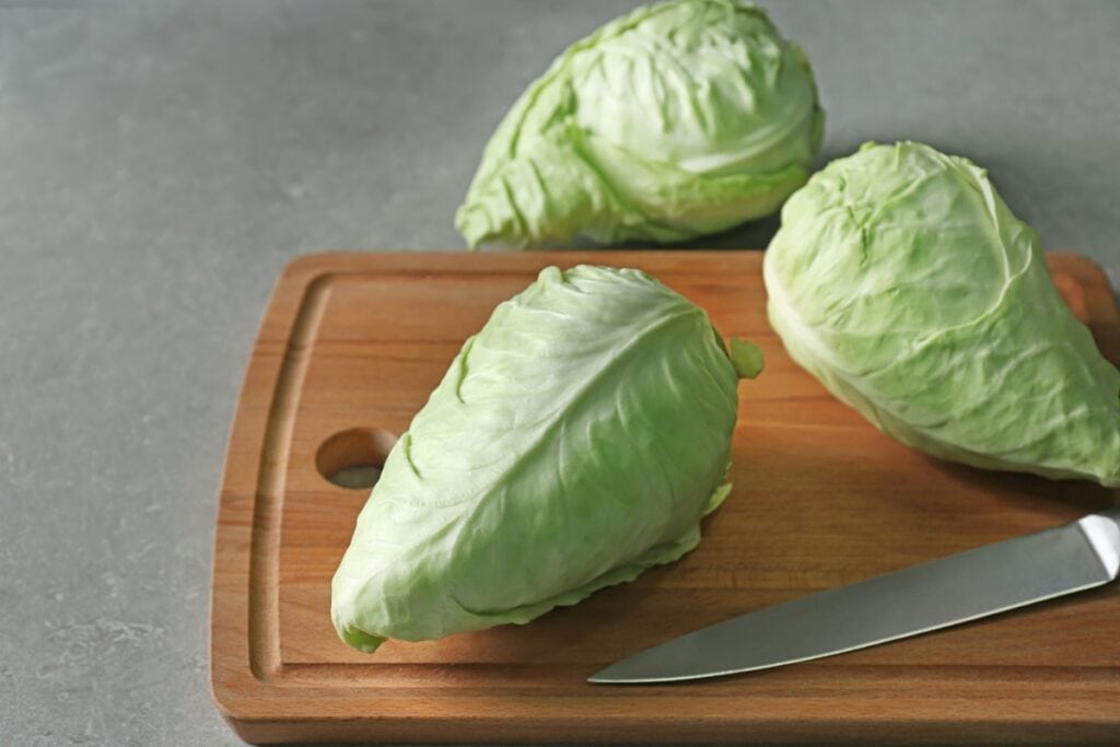best napa cabbage substitute (12 options from a pro chef)