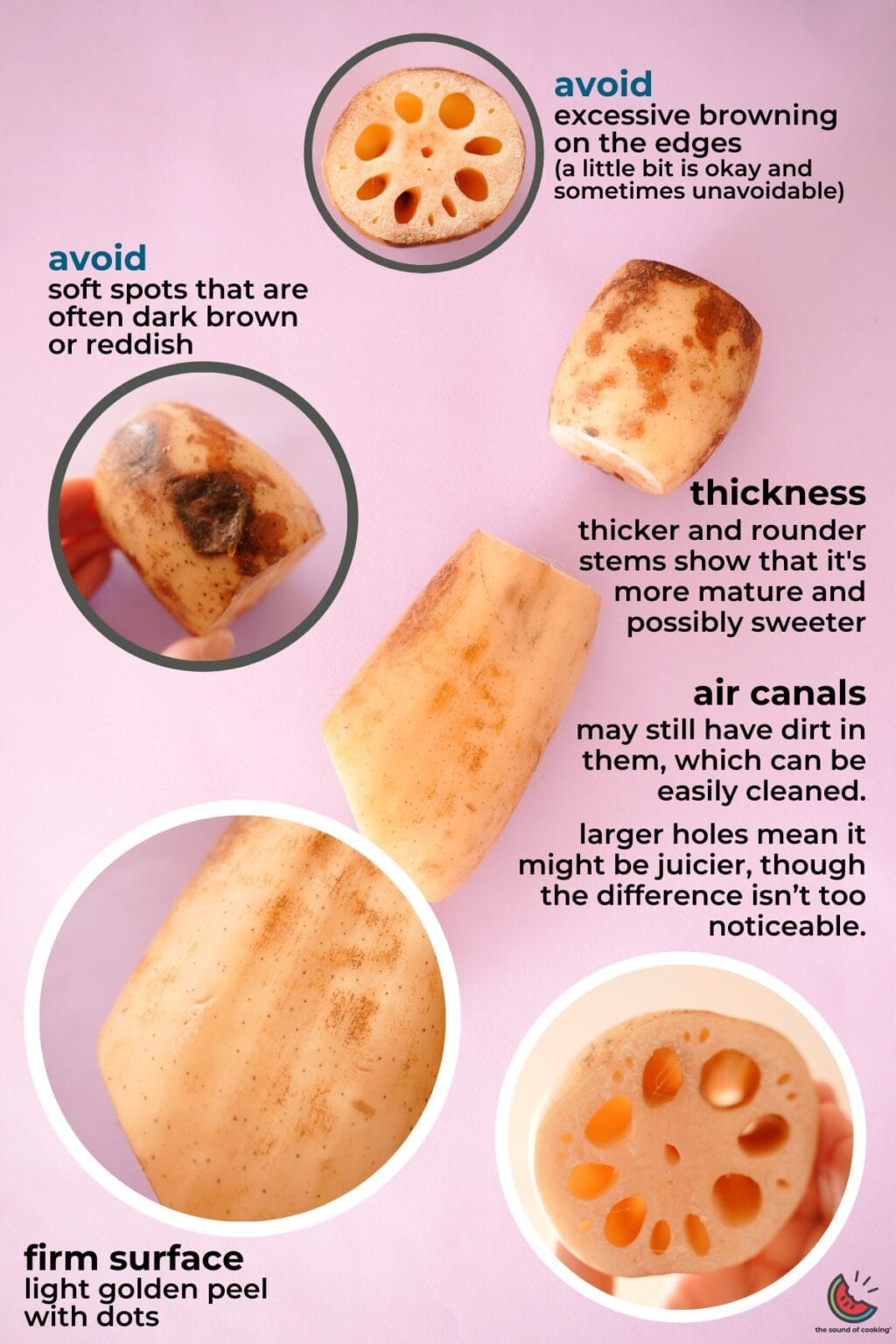 lotus root (ultimate guide from a pro chef + 10 ways to use it)
