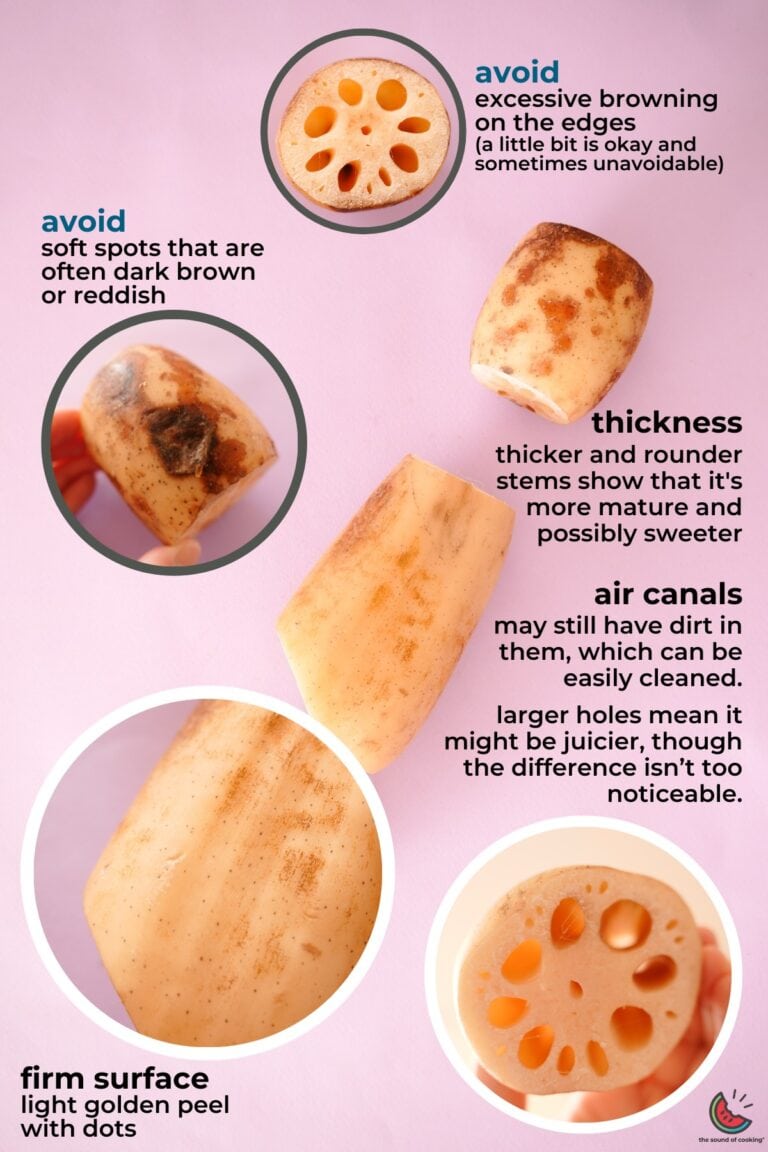 lotus root (ultimate guide from a pro chef + 10 ways to use it)