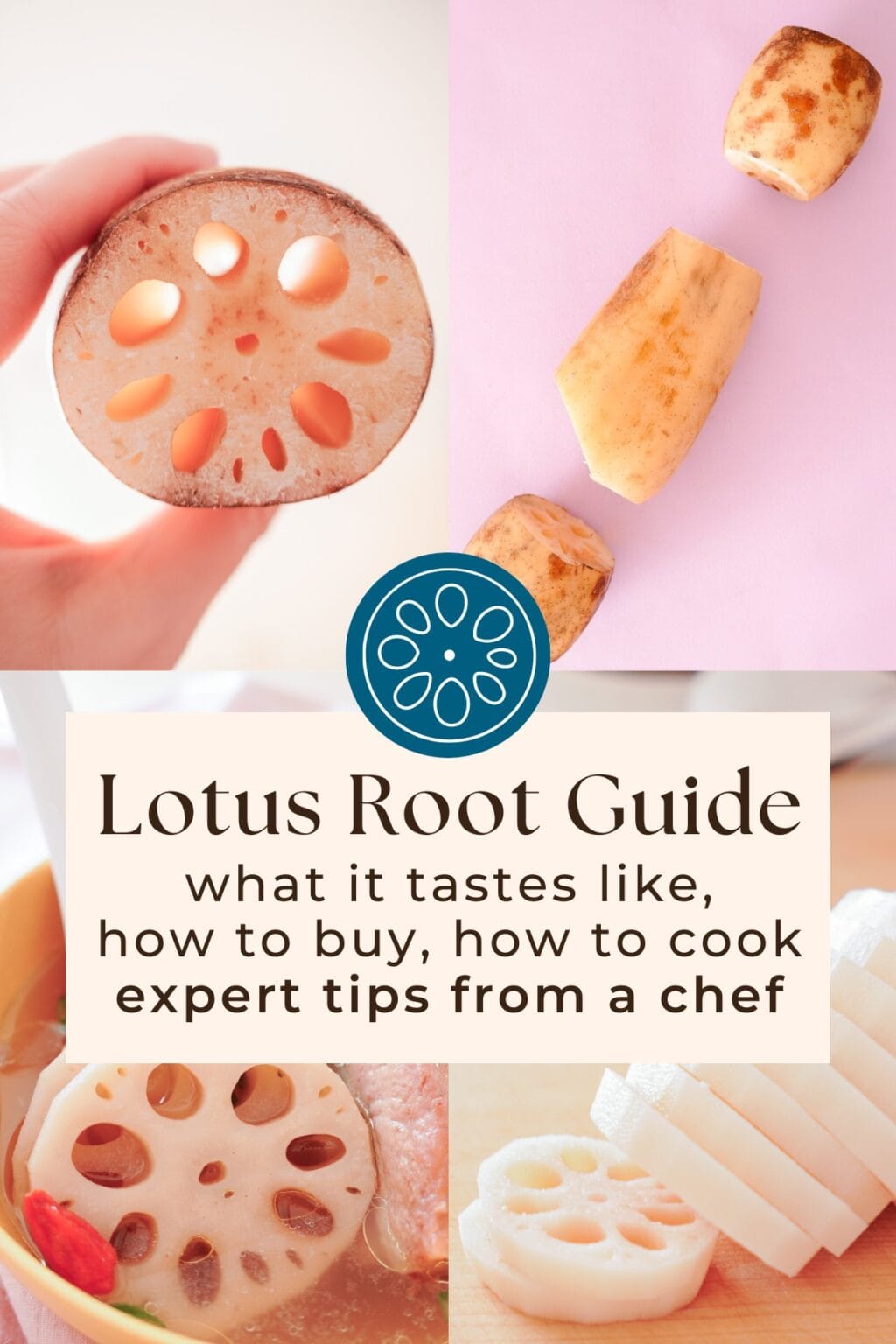 lotus root (ultimate guide from a pro chef + 10 ways to use it)