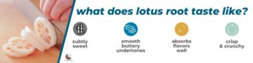 lotus root (ultimate guide from a pro chef + 10 ways to use it)