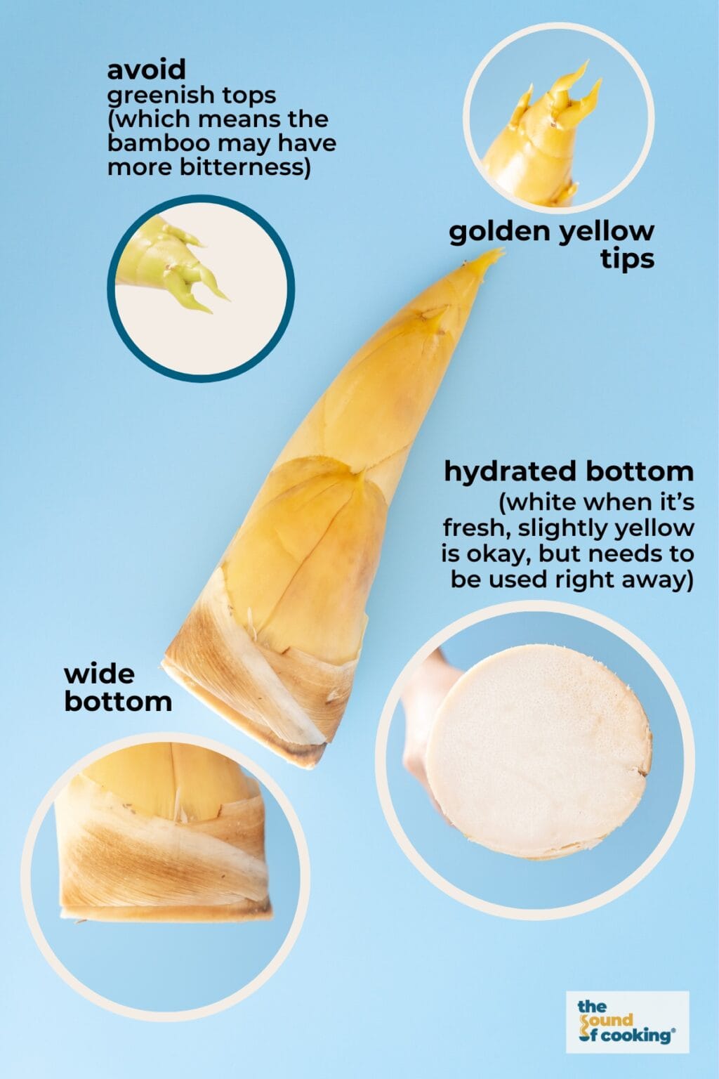bamboo shoots (chef’s guide on how to cook and pick fresh)