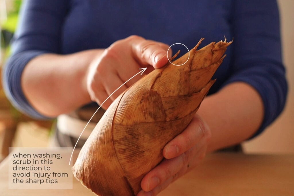 bamboo shoots (chef’s guide on how to cook and pick fresh)