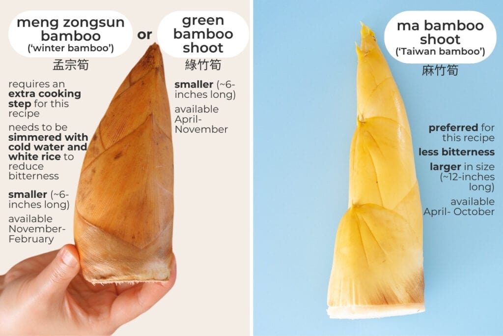bamboo shoots (chef’s guide on how to cook and pick fresh)