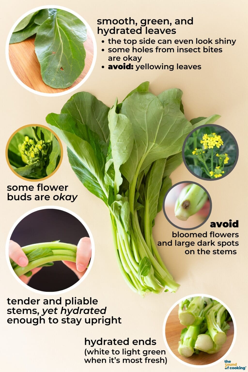 choy sum (yu choy) chef’s guide - how to cook, buy, prep